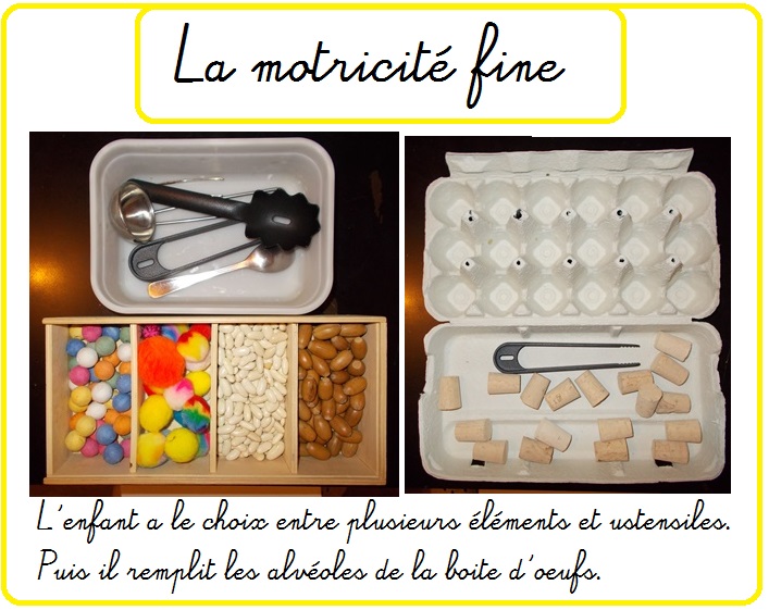 La motricité fine